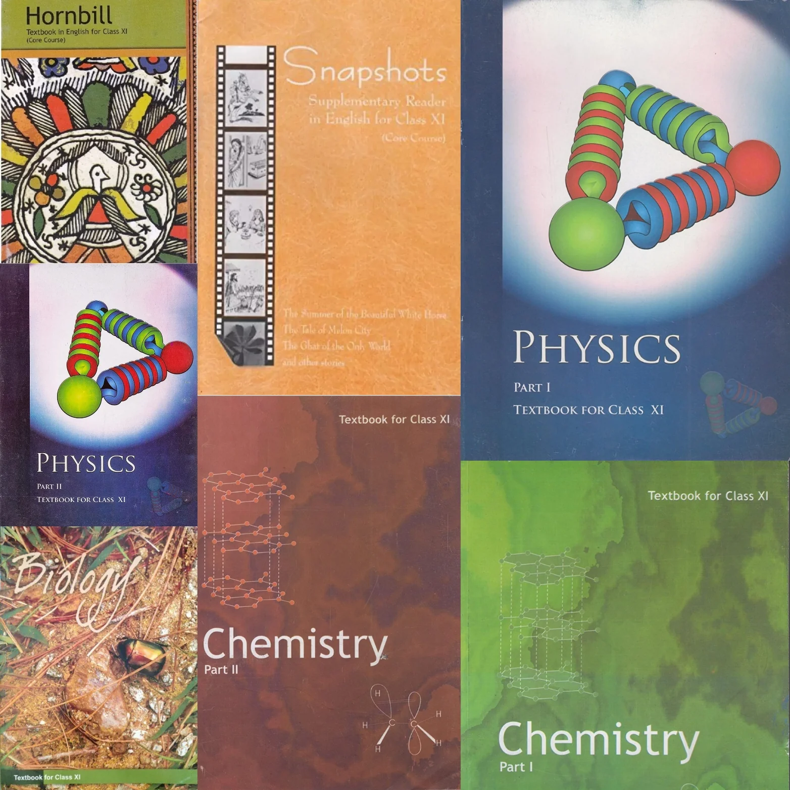 NCERT Science (PCB) Complete Books Set for Class -11 (English Medium ...